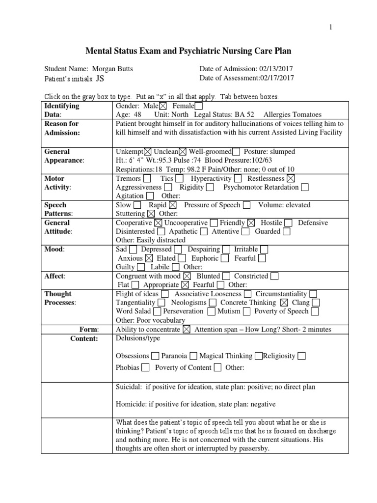 PMH Nursing Care Plan 01112017 | PDF | Coping (Psychology) | Hallucination