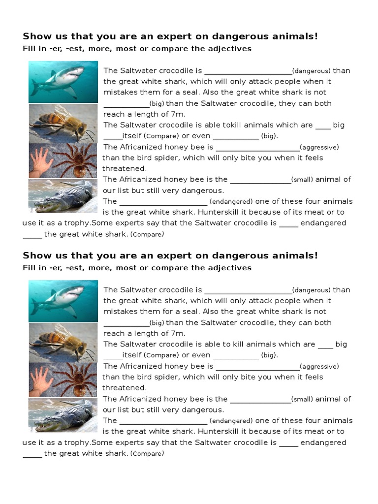 Comparatives and Superlatives | PDF | Crocodile | Great White Shark