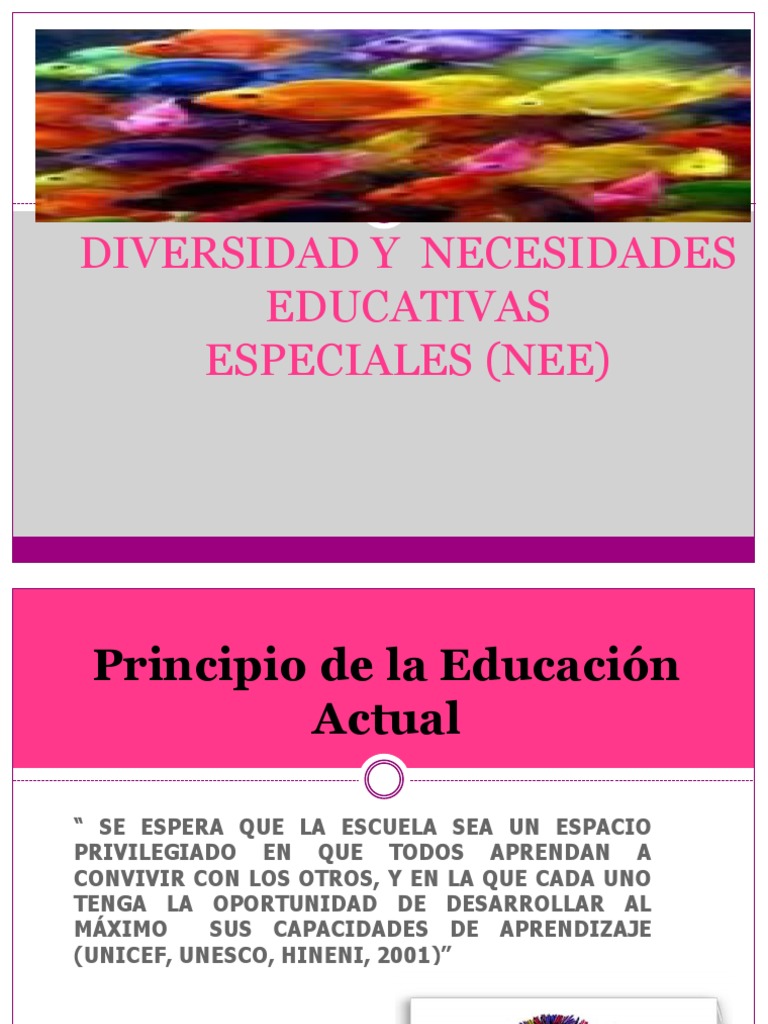 Introduccion A Las Nee R | PDF | Educación especial | Discapacidad ...
