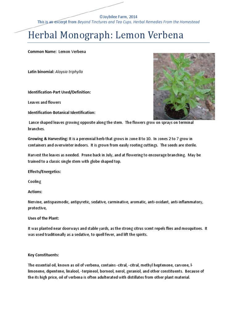 Lemon Verbena Monograph | PDF | Herbalism | Fish Oil