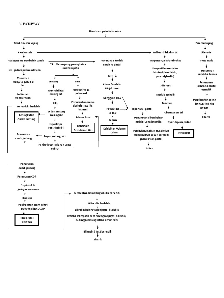 Pathway Sindrom Hellp | PDF