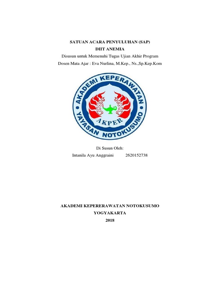 Sap Diit Anemia | PDF