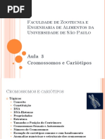 Posição de Fowler - o Que É e Quando Ela É Utilizada | PDF | AVC ...