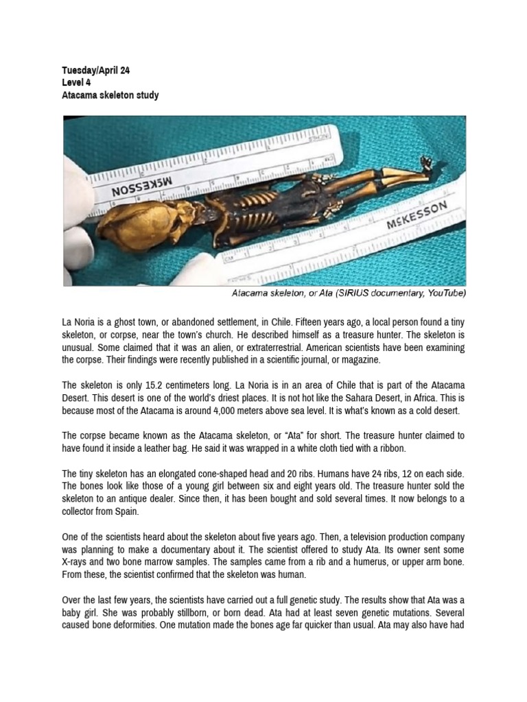 Atacama Skeleton Study: Tuesday/April 24 Level 4 | PDF | Mutation ...