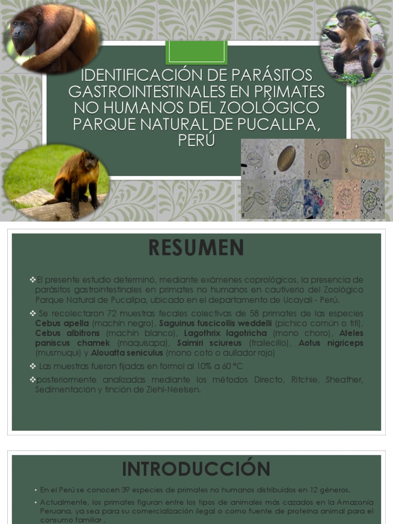 Identificación De Parásitos Gastrointestinales En Primates No Humanos