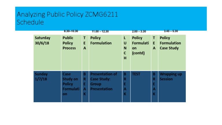 Analysing Public Policy Schedule | PDF