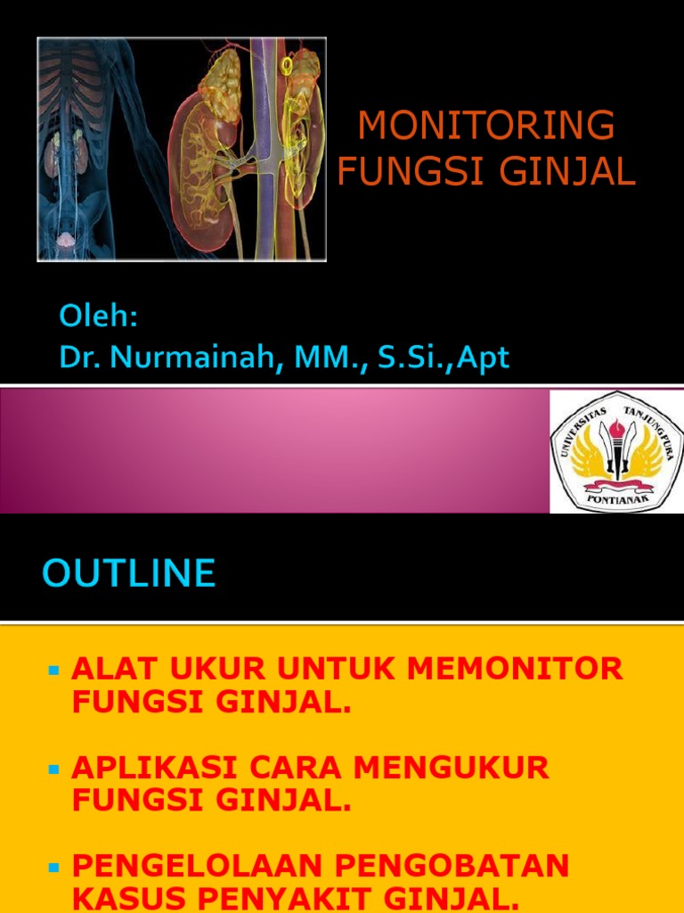 Monitoring Fungsi Ginjal | PDF