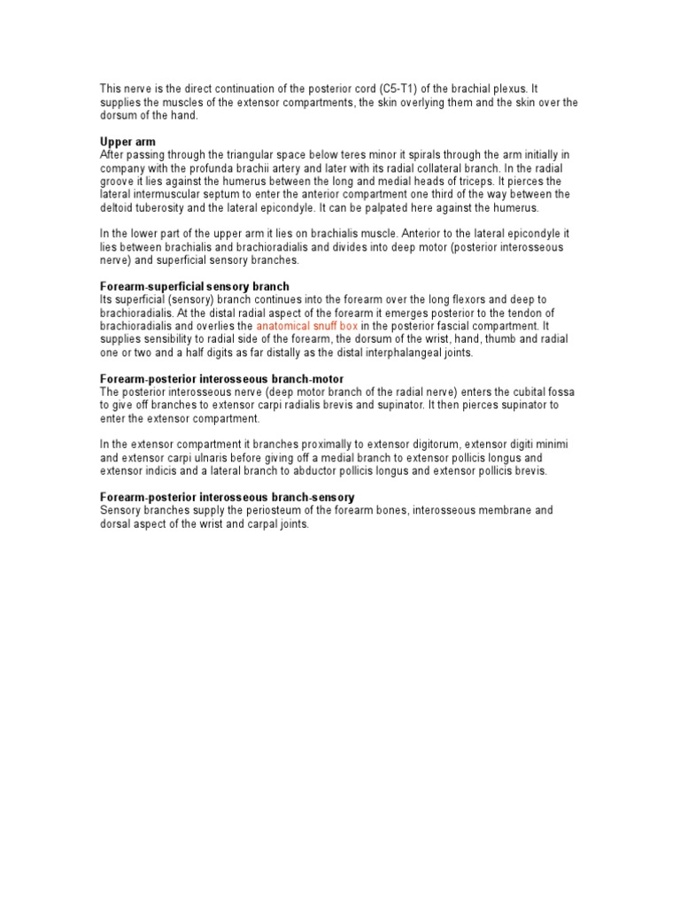 Upper Arm: Anatomical Snuff Box | PDF