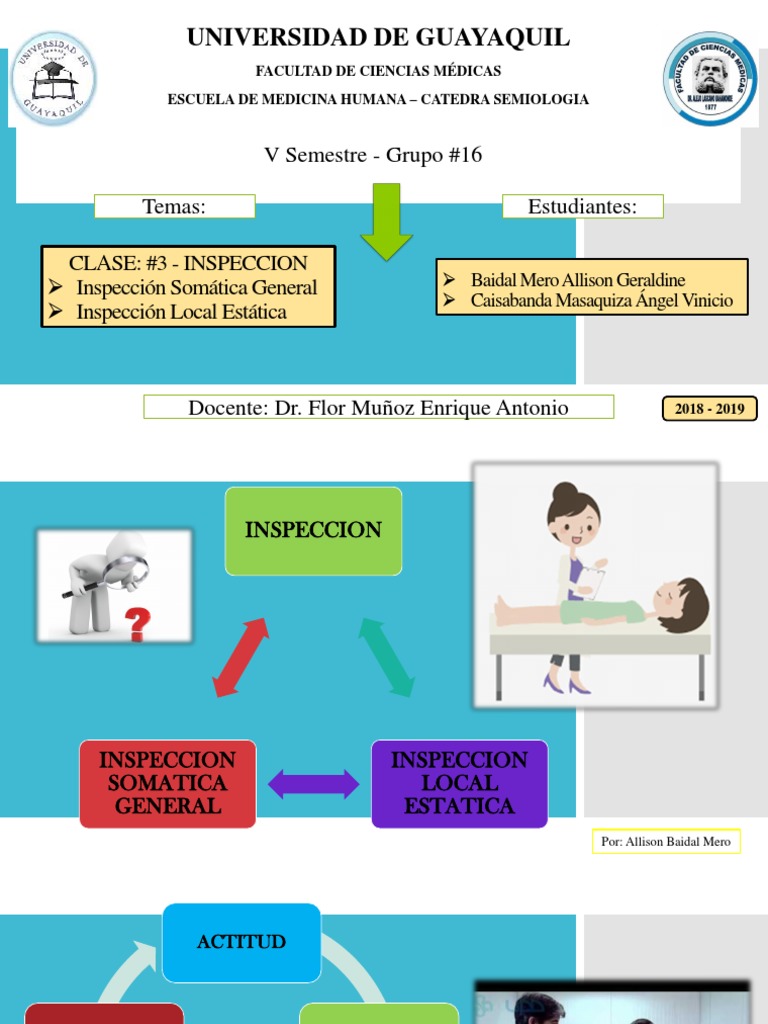 Inspeccion Torax | PDF | Pulmón | Tórax