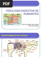 Anatomia y Fisiologia Del Rumen | PDF | Rumiante | Digestión