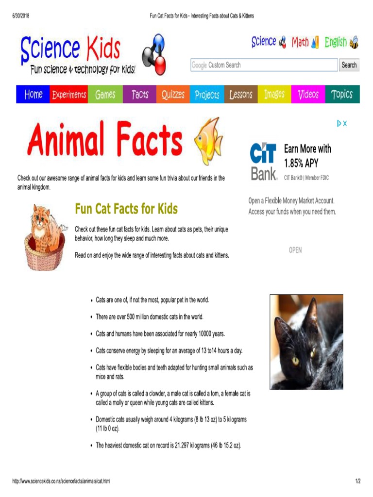 Fun Cat Facts For Kids - Interesting Facts About Cats & Kittens | PDF ...