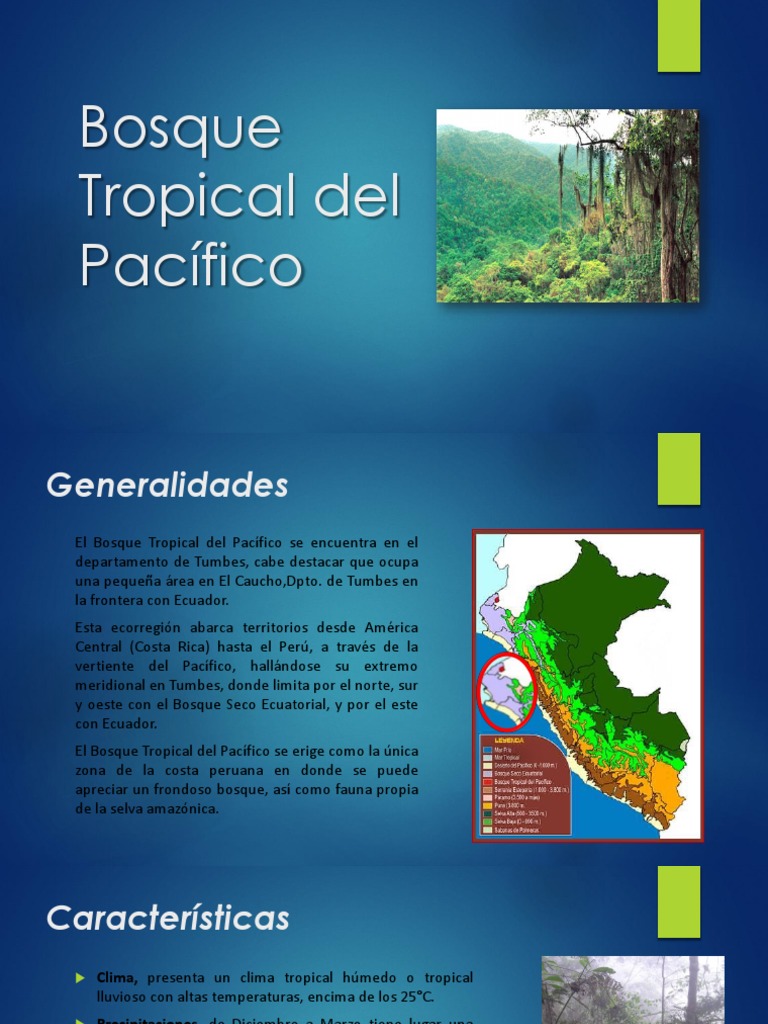Bosque Tropical Del Pacifico | PDF | Selva | Zona tropical
