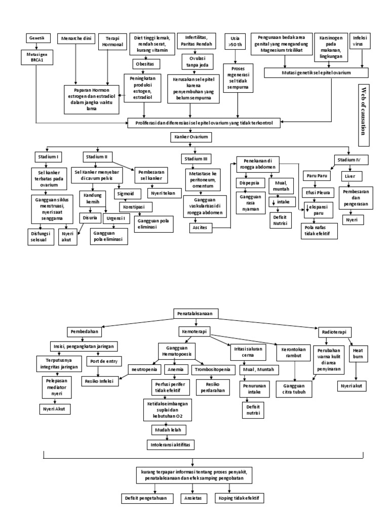 WOC CA Ovarium | PDF