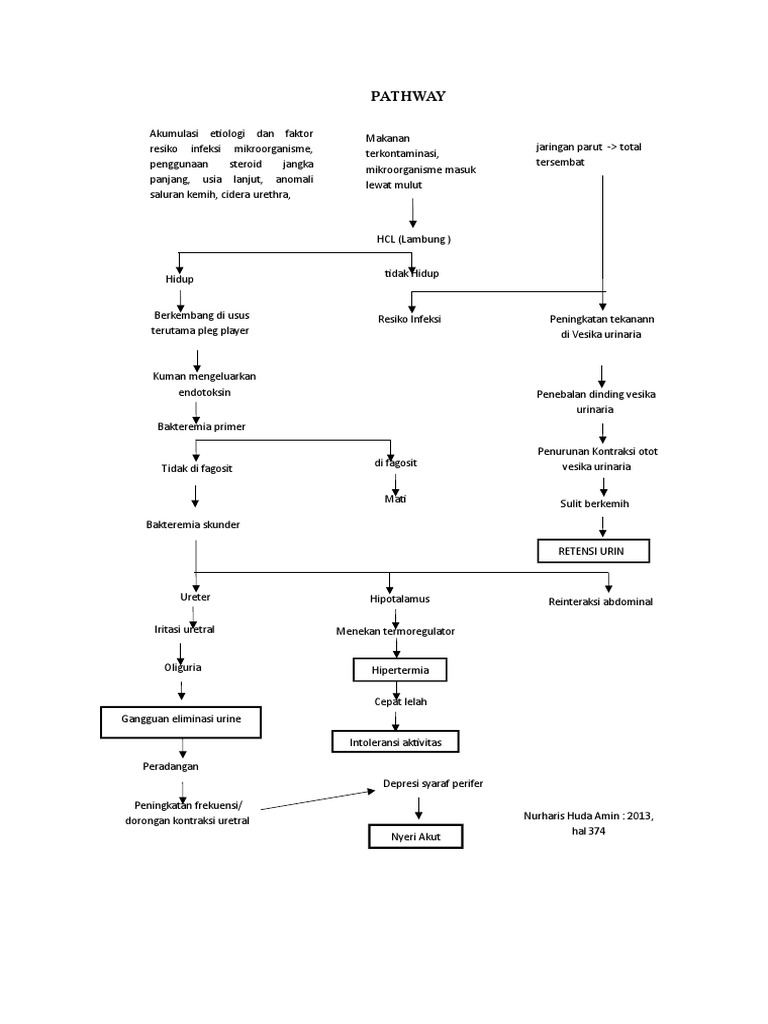 Risiko Infeksi Saluran Kemih | PDF