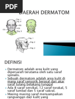 Skema Dermatom Dan Sklerotom | PDF