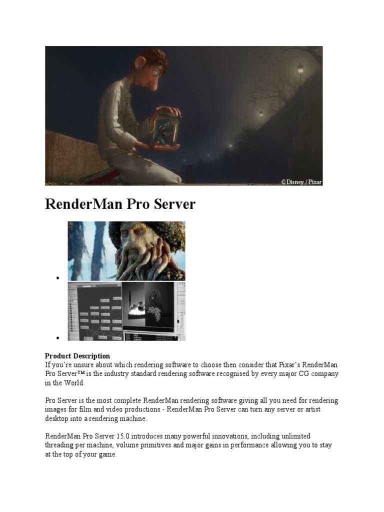 Renderman Pro Server Product Description Pdf Rendering Computer Graphics Shader