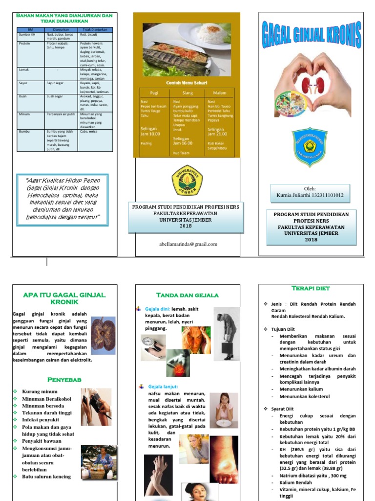 Leaflet CKD | PDF