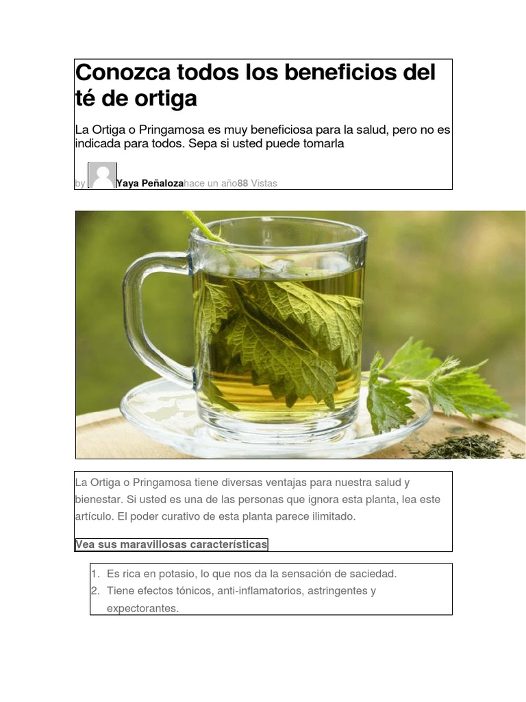 Beneficios Del Te De Ortiga _ Ortiga Para Que Sirve – RDPI
