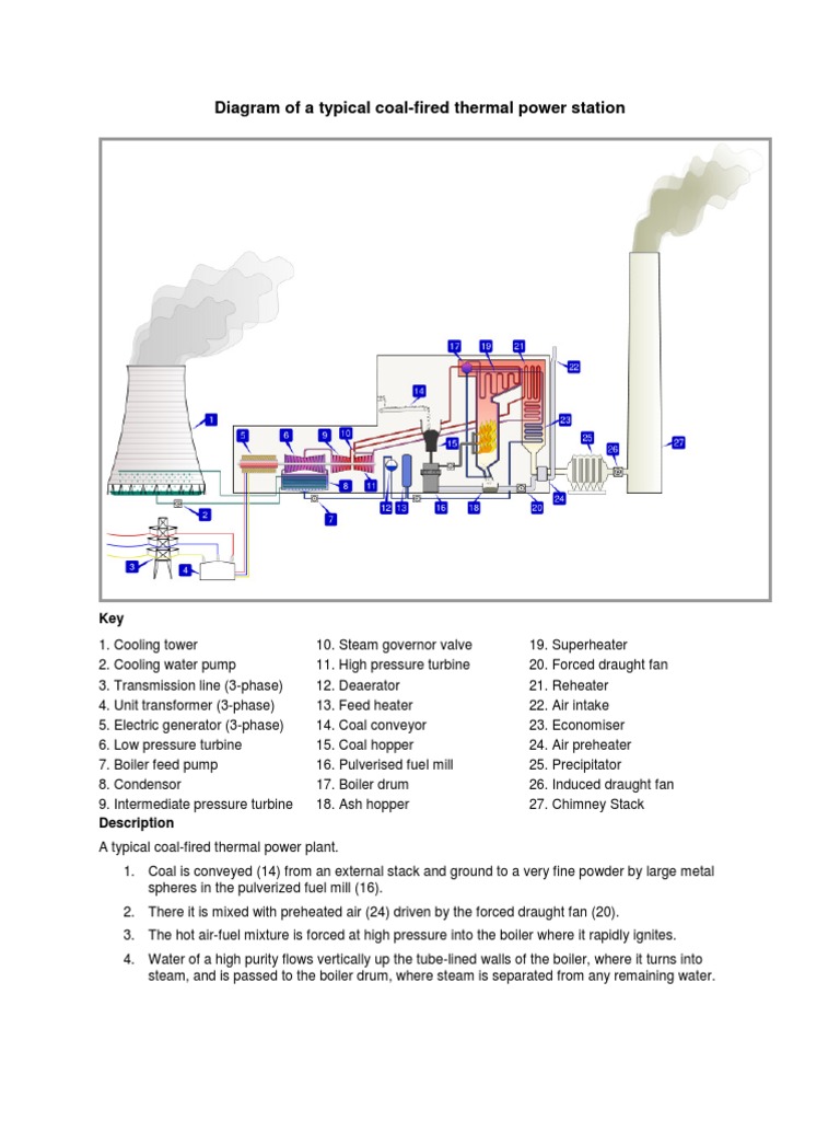 Typical Coal Fired Power Plant | PDF | Boiler | Energy Technology