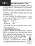 Diferencias entre coníferas y latifoliadas | PDF | Arboles | Hoja