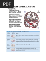 ASIA Score | PDF | Motor Control | Senses