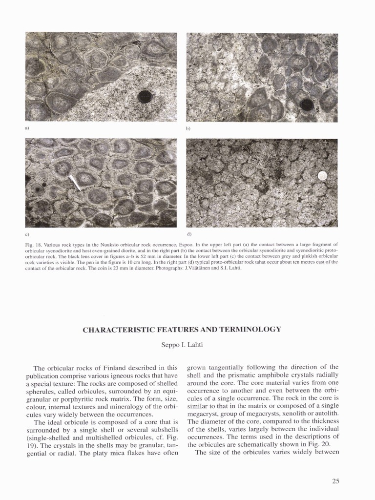 Characteristic Features and Terminology of Orbicular Rocks: A ...