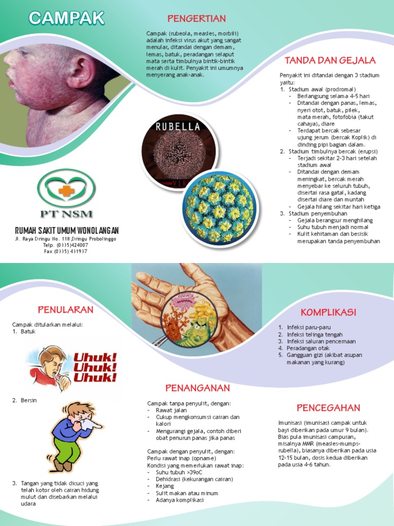 Leaflet Campak | PDF