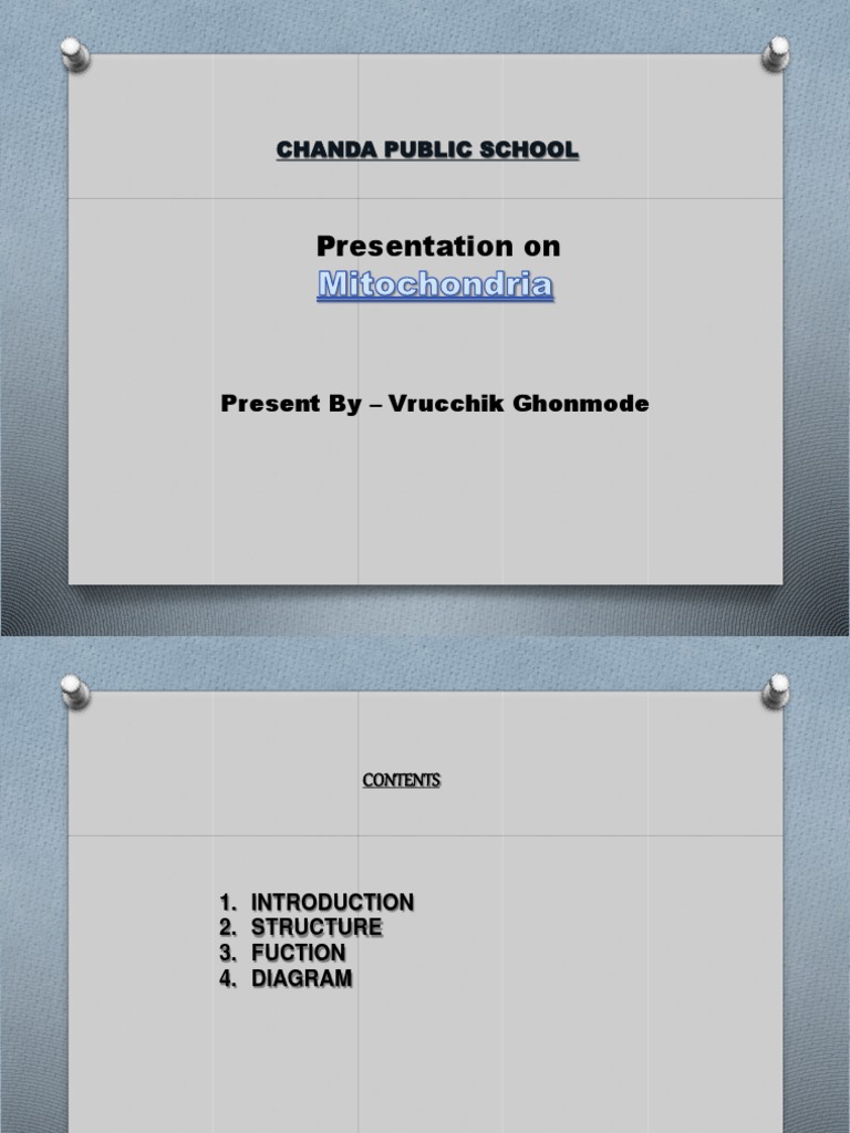 Presentation On: Chanda Public School | PDF | Science & Mathematics ...