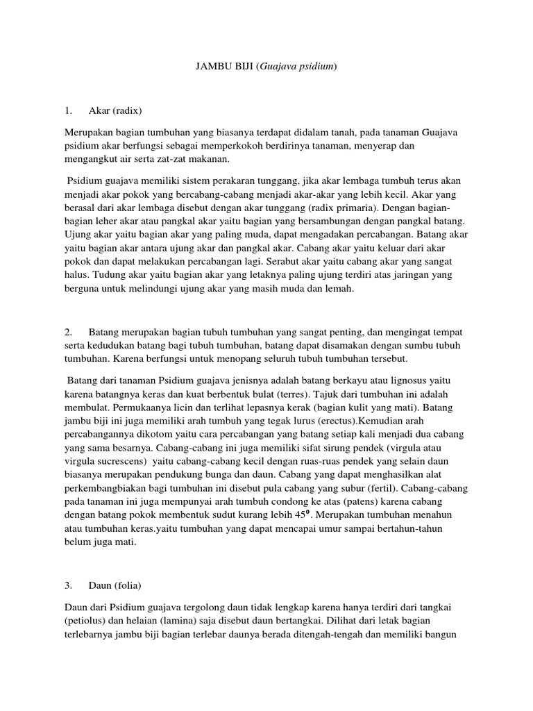 Jambu Biji | PDF
