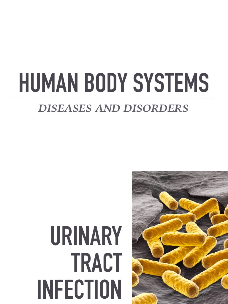 Human Body Systems: Diseases and Disorders | PDF | Medical Specialties ...