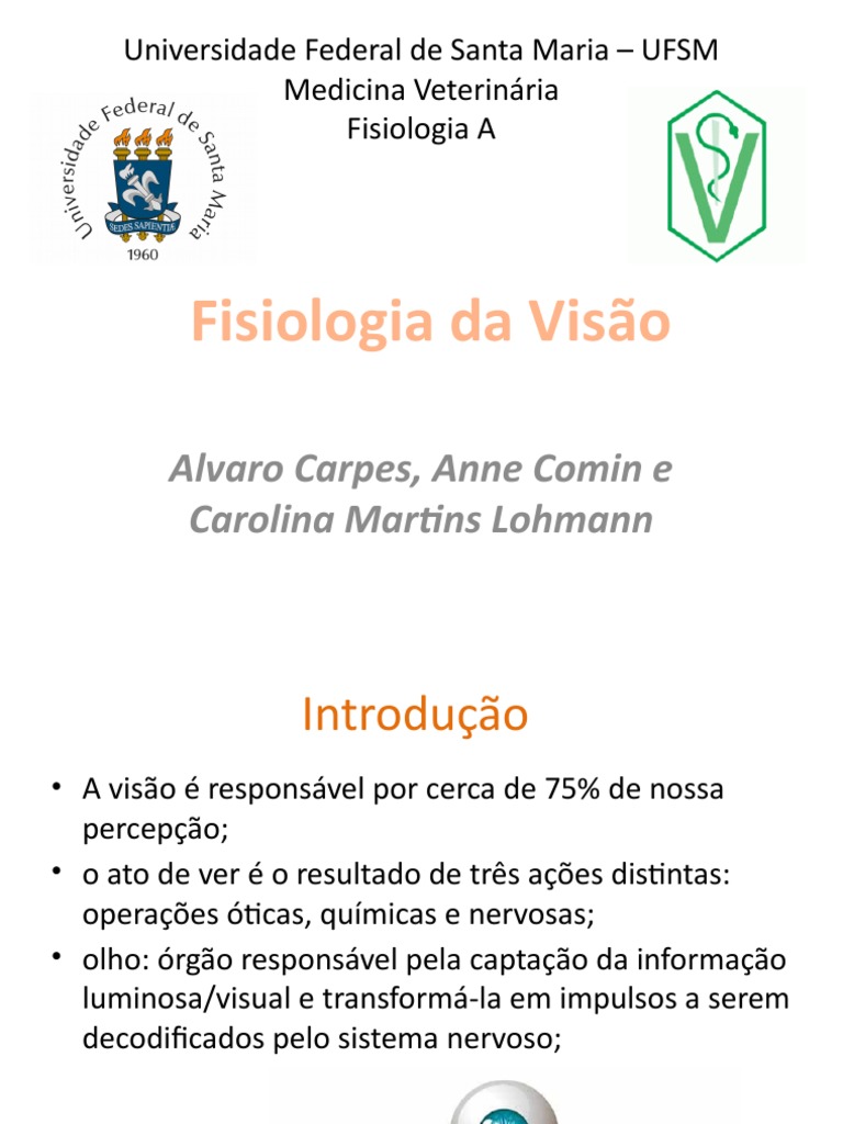 Fisiologia Da Visão | PDF | Sistema visual | Olho