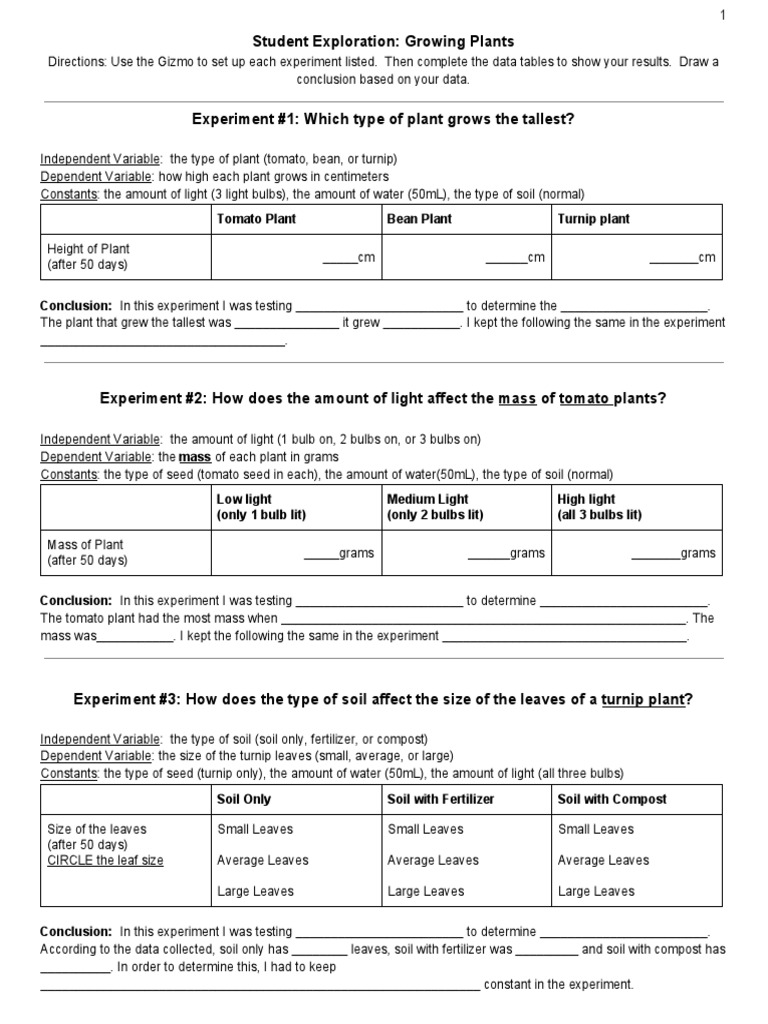 Gizmo Growing Plants | PDF | Leaf | Soil