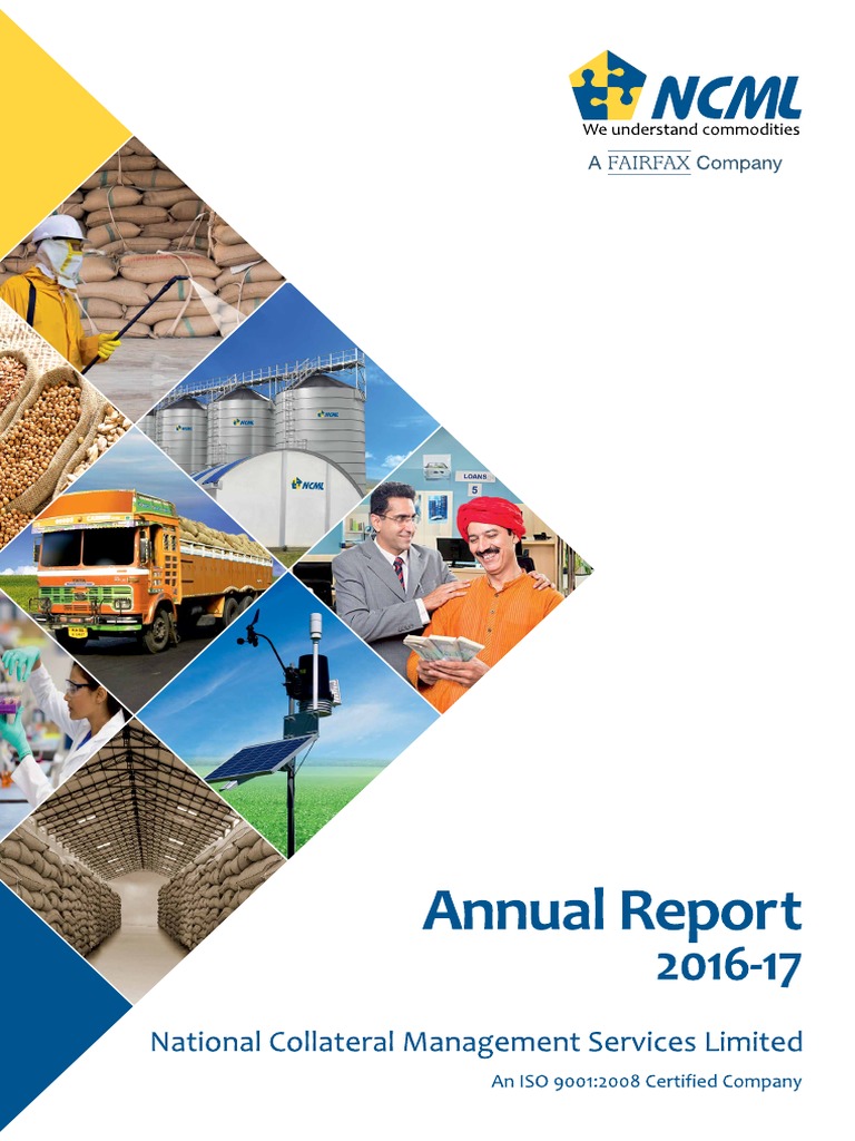 NCML 2016-17 | PDF | Financial Statement | Audit