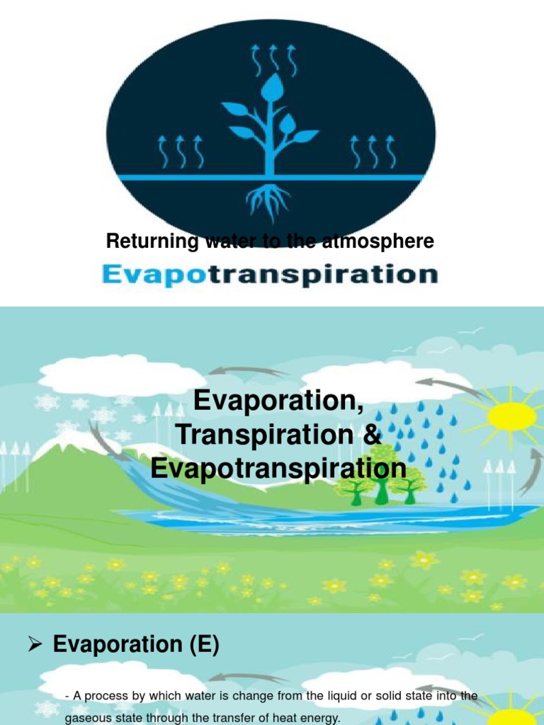 Evaporation Transpiration | PDF | Evaporation | Evapotranspiration