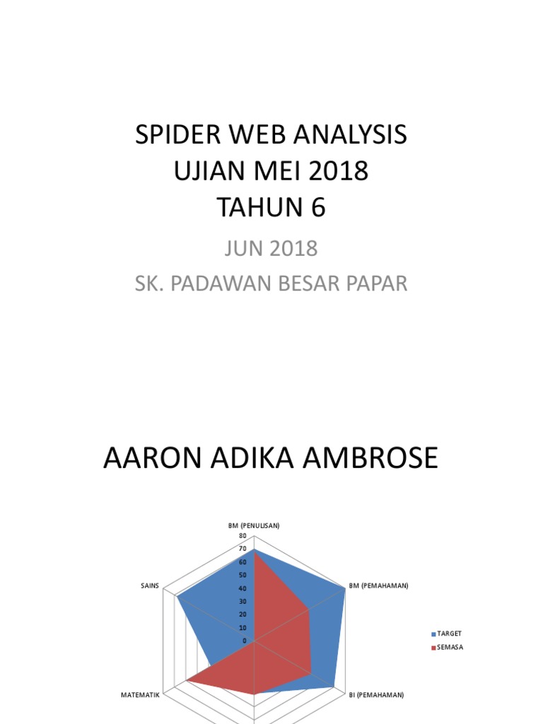 Spider Web Analysis