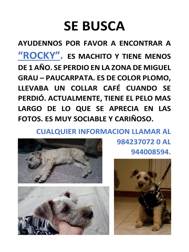Se Busca | PDF