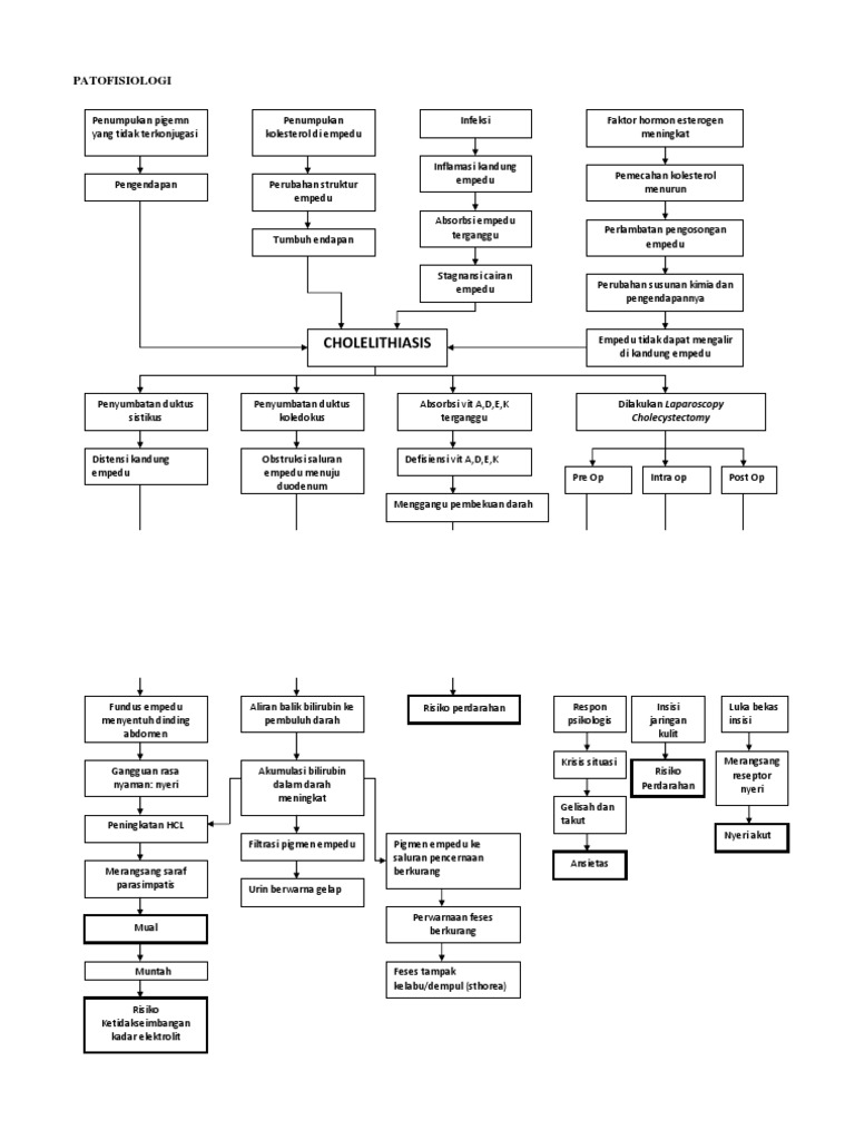 Patofisiologi Cholelithiasis | PDF