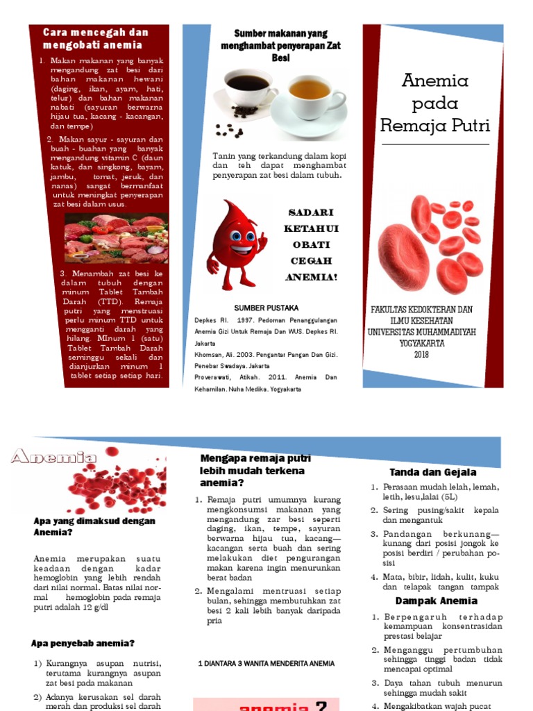 347354 Leaflet Anemia