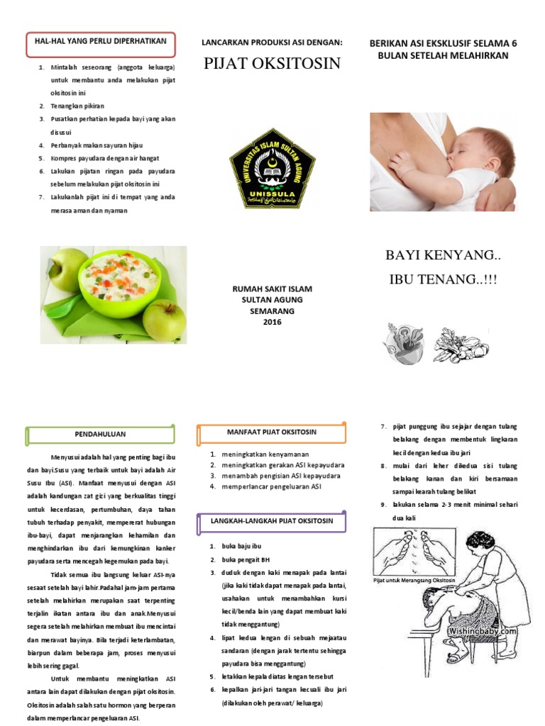 Leaflet Pijat Oksitosin | PDF