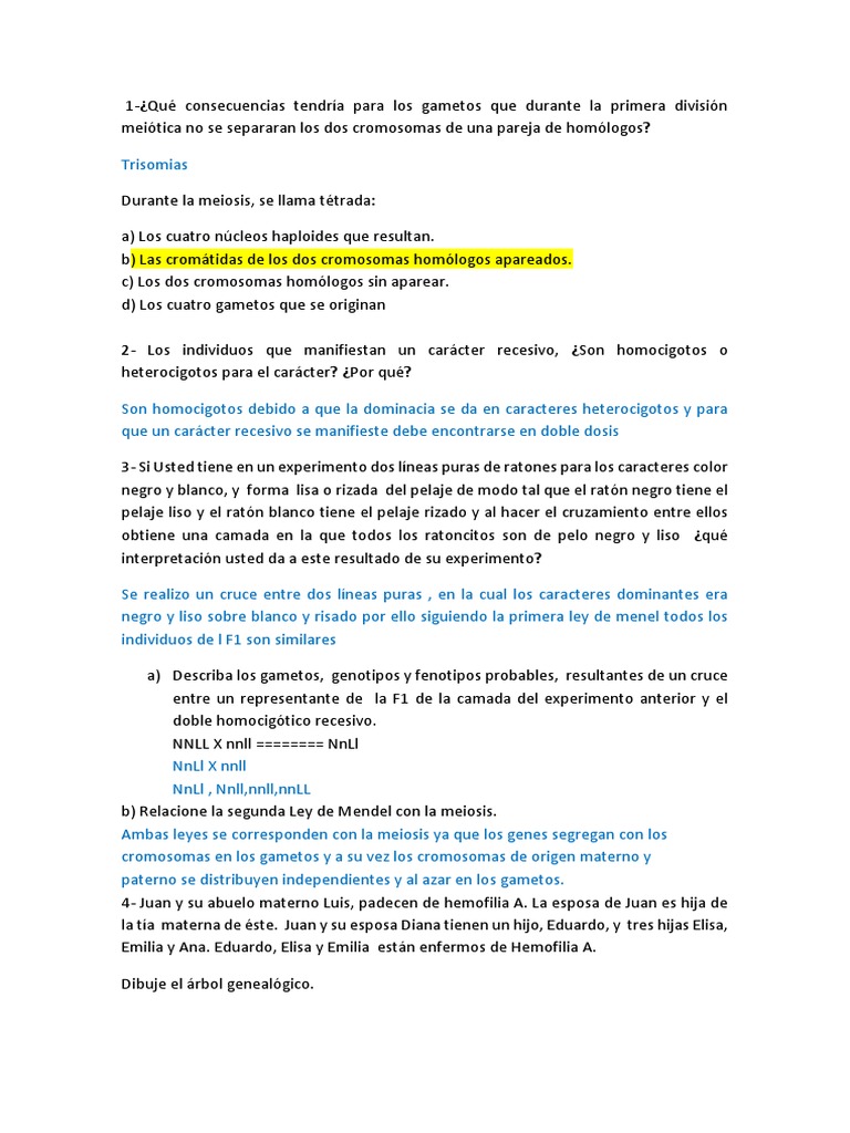 Examen de Genética Tem A 2013 | PDF | Dominancia (Genética) | Mitosis