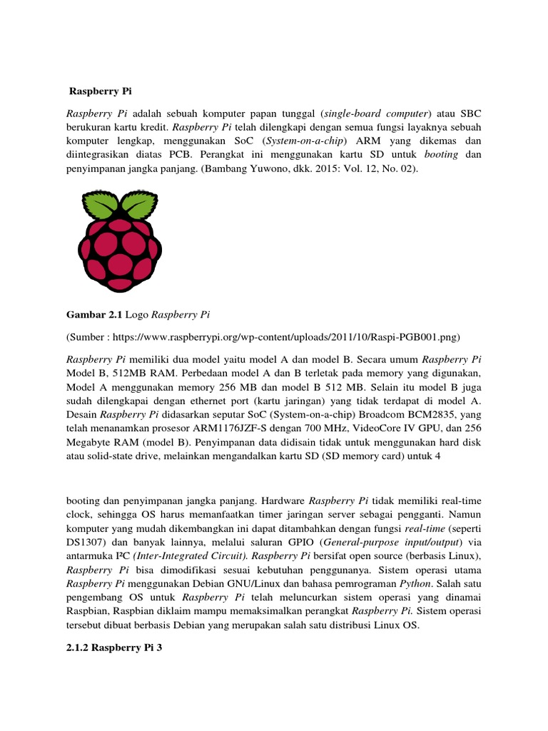 Raspberry Pi | PDF