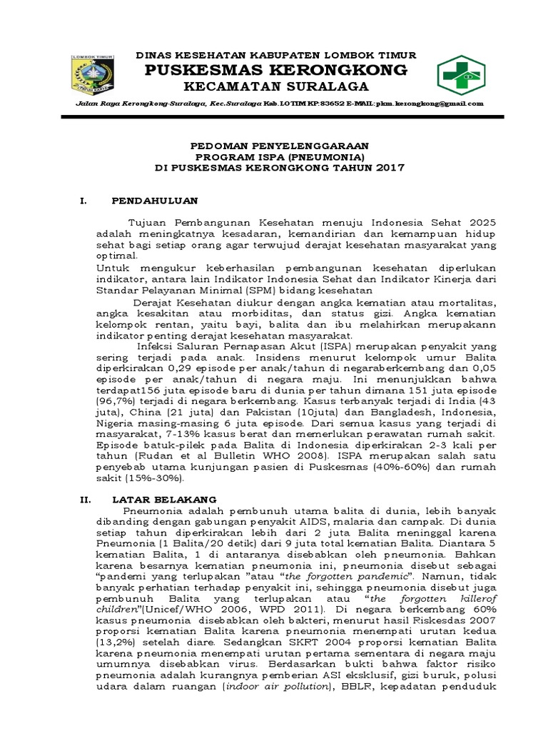 Pedoman Program ISPA di Puskesmas 2017 | PDF