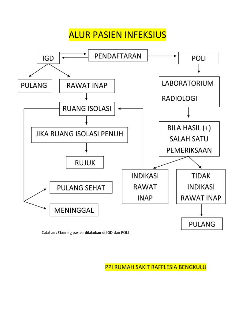 ALUR Pasien Infeksius Rs Raff | PDF