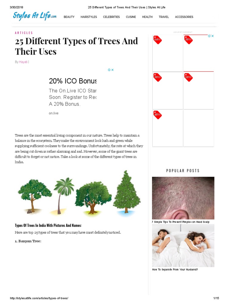 25 Different Types of Trees and Their Uses - Styles at Life | PDF ...