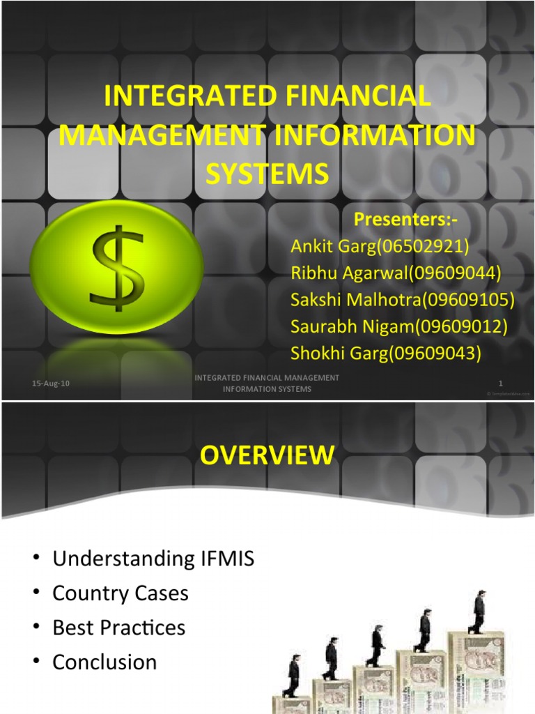 Government Financial Systems Guide | PDF | International Financial ...