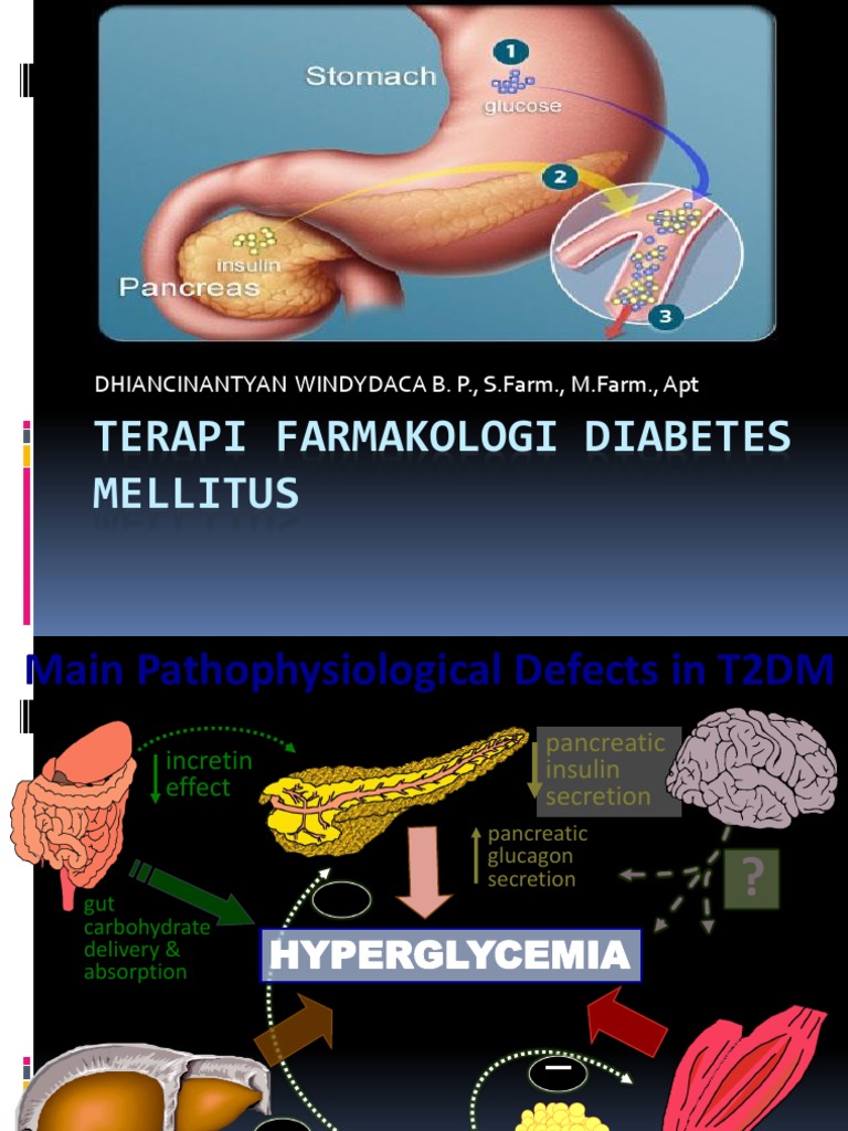 Terapi Farmakologi Diabetes Mellitus IIK | PDF | Diabetes Mellitus Type ...