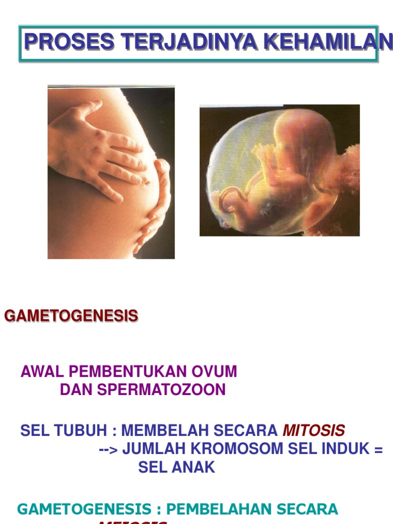 Proses Terjadinya Kehamilan | PDF