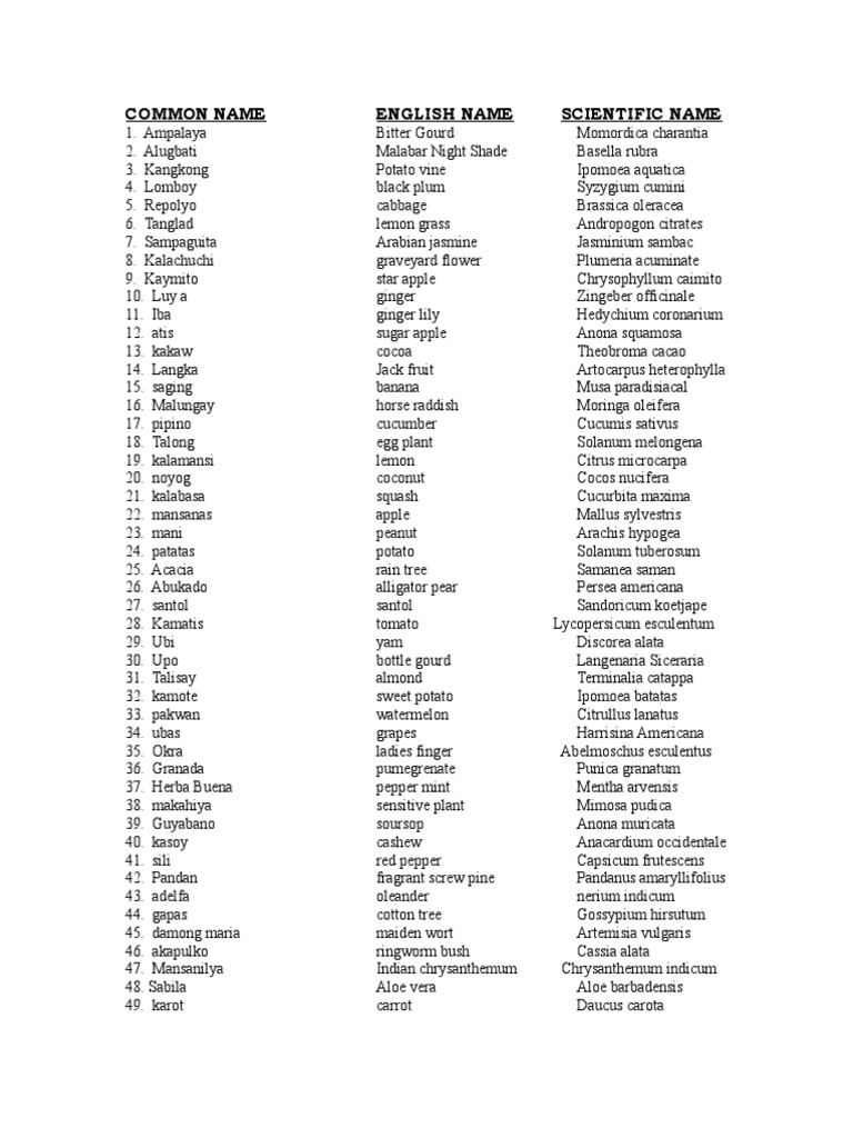 Common Name English Name Scientific Name | PDF