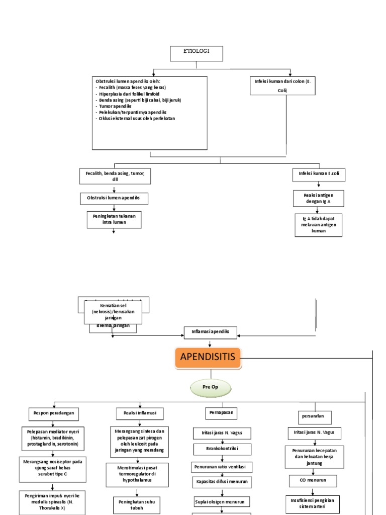 Woc Apendisitis | PDF