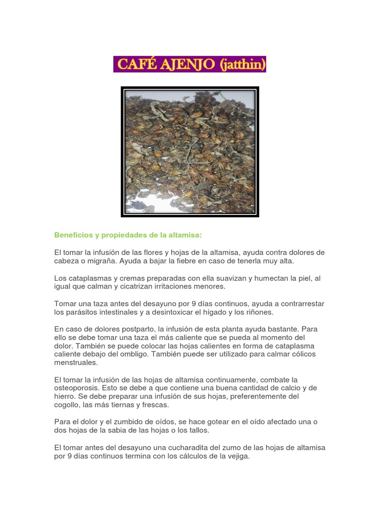 Beneficios y Propiedades de La Altamisa | PDF | Inflamación ...